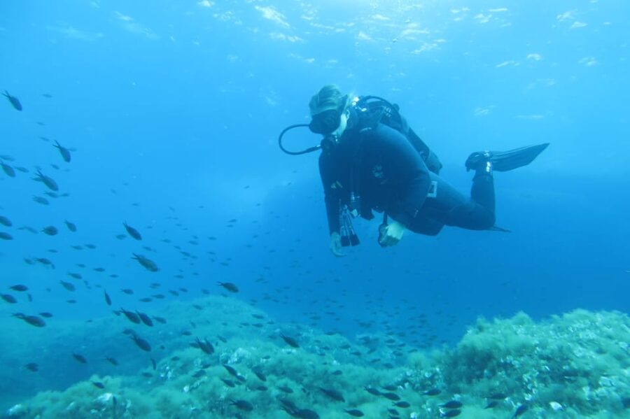 Malta: 2 Scuba Fun Dives for Certified divers - The Underwater Experience