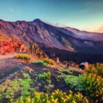 Malta: Mount Etna and Taormina Guided Day Trip by Catamaran - Who is This Tour Best For?