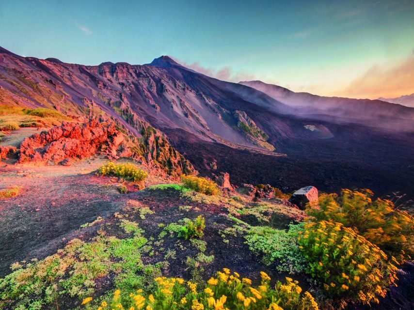 Malta: Mount Etna and Taormina Guided Day Trip by Catamaran - Who is This Tour Best For?