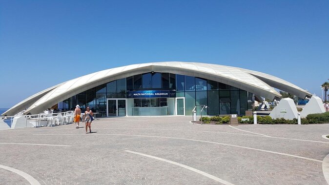 Malta National Aquarium Entrance Ticket - Malta National Aquarium Entrance Ticket: A Full Review for Curious Travelers