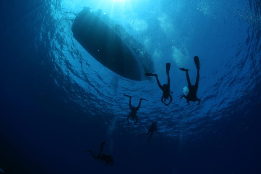 Malta: PADI Open Water Diver Course in Il-Melliea - The Sum Up: Who Will Benefit Most?