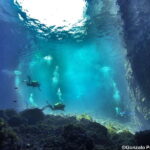 Malta: Scuba Diving Experience for Beginners w/certificate - What We Loved and What to Keep in Mind