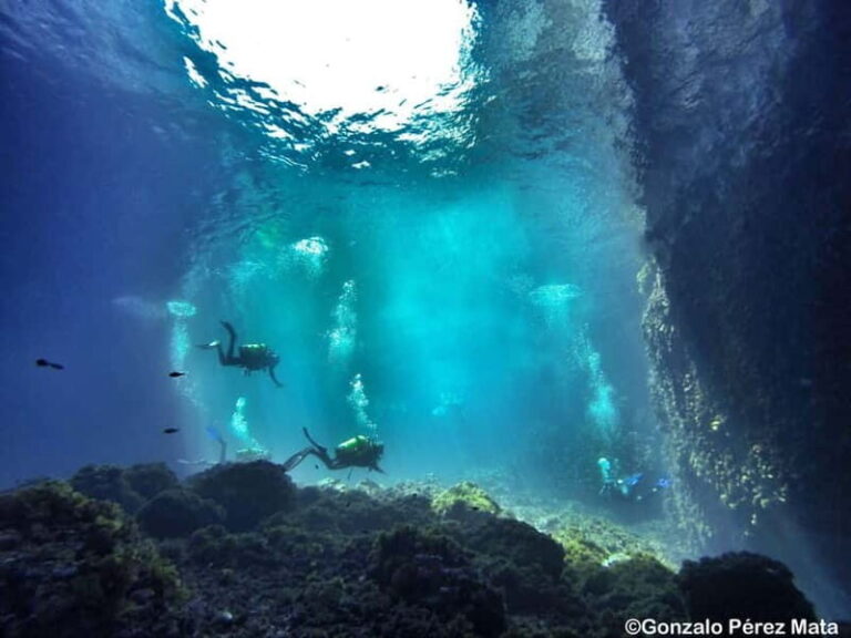 Malta: Scuba Diving Experience for Beginners w/certificate - What We Loved and What to Keep in Mind