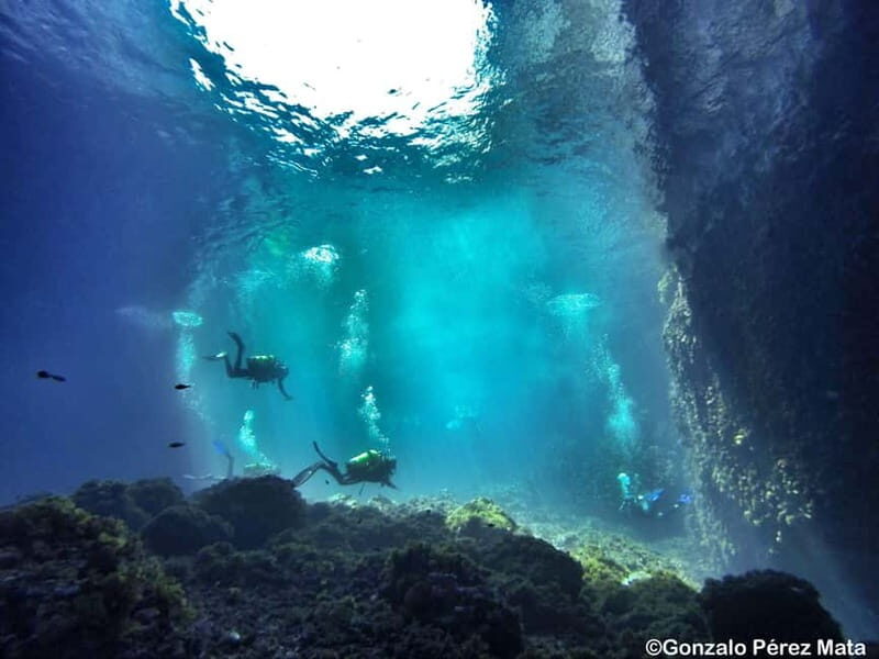 Malta: Scuba Diving Experience for Beginners w/certificate - What We Loved and What to Keep in Mind