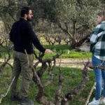 Mamoiada: visit a winery with wine tasting - Who Will Love This Tour?