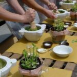 Manarola: Authentic Pesto Making Class at Cinque Terre - What the Experience Means for Travelers