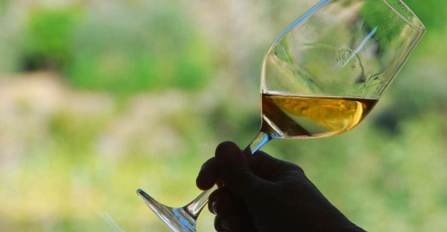 Manarola: Cinque Terre Wine Tasting - Why the Price Is Justified