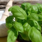 Manarola: Pesto Making Class with Tasting and Wine - What’s Included and What to Expect