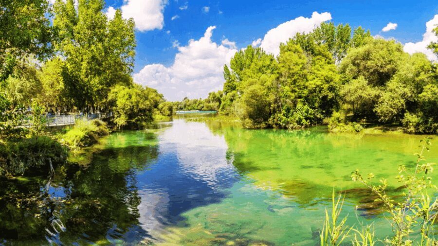 Manavgat River Cruise With Waterfall & Bazaar Tour - Practical Details and What to Bring