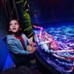 Manchester: SEA LIFE Entrance Ticket - The Itinerary and Highlights