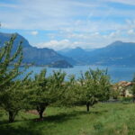 Mandello del Lario: Hike across hills and quaint hamlets - A Closer Look at the Experience