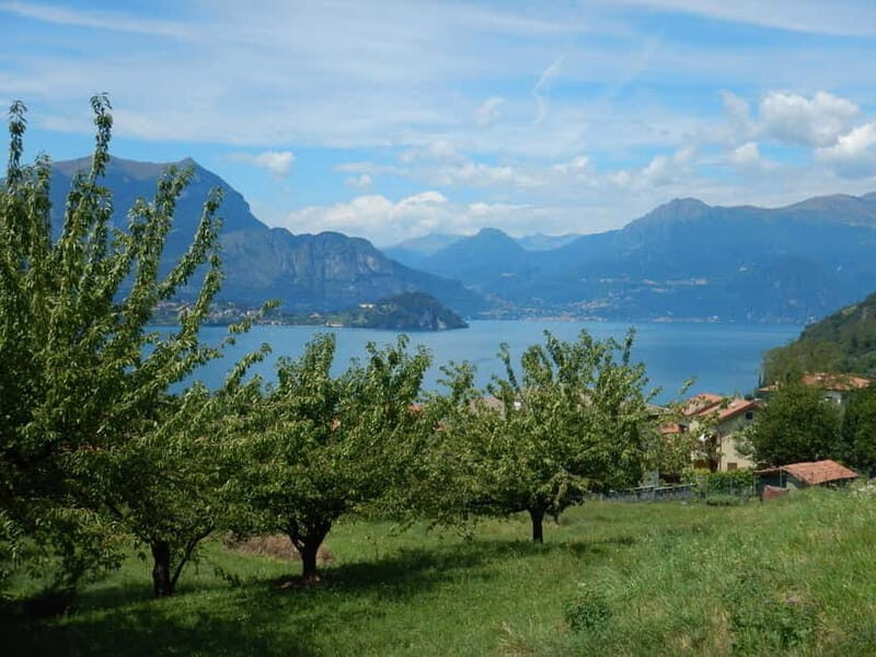 Mandello del Lario: Hike across hills and quaint hamlets - A Closer Look at the Experience