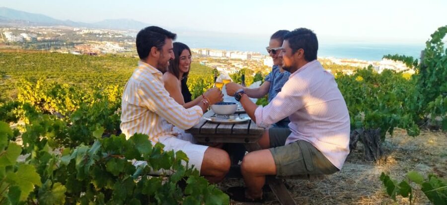 Manilva: Nilva Vineyard, Wine Tasting & Tapas Guided Tour - Who Will Appreciate This Tour?