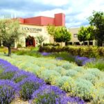 Manosque: L'Occitane en Provence Guided Factory Tour - Final Thoughts
