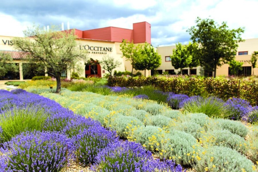 Manosque: L'Occitane en Provence Guided Factory Tour - Final Thoughts