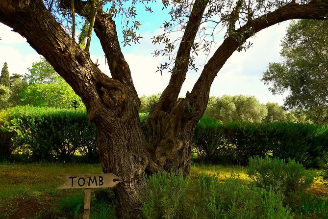 Marathon, Thermopylae/ Herodotus History private tour (9 hours) - Exploring the Marathon Battlefields and Museum