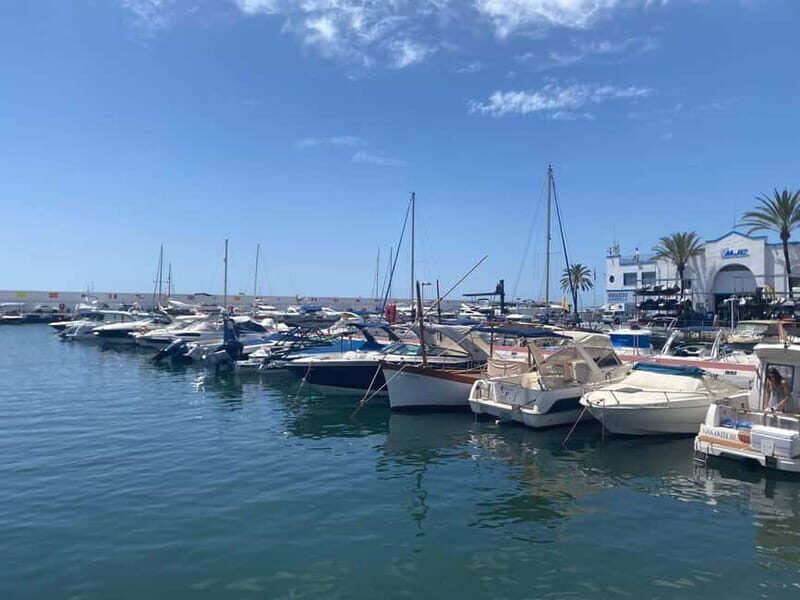 Marbella: Exclusive private premium bike tour to Puerto Banus - Who is This Tour Best For?