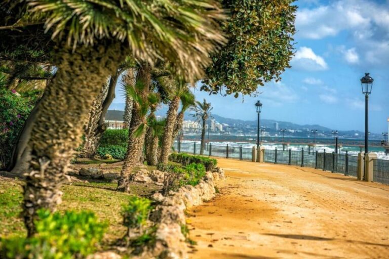 Marbella: Express Walk with a Local in 60 minutes - What Does the Tour Cover?