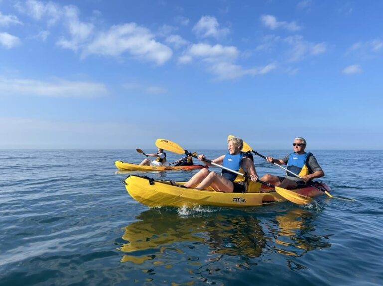 Marbella: Guided Kayak Tour in Puerto Banús - The Itinerary: What to Expect