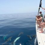 Marbella: Private sailing tour with drink and snack ,3 hour - What Makes This Tour Stand Out?