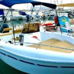 Marbella Self Drive Boat Rental with Dolphin Sighting - What to Expect from Your Day on the Water