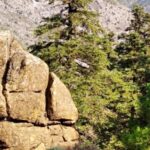 Marbella: Sierra de las Nieves National Park Hiking Day Trip - FAQ