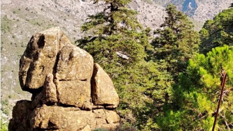 Marbella: Sierra de las Nieves National Park Hiking Day Trip - FAQ