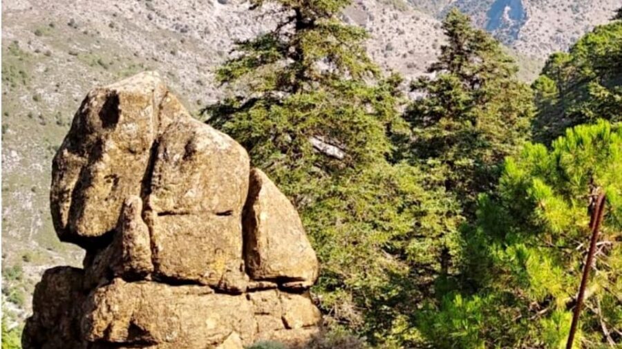 Marbella: Sierra de las Nieves National Park Hiking Day Trip - FAQ