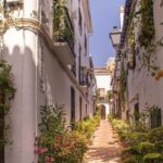 Marbella : Walking Custom Tour with a Local Guide - In-Depth Look at the Tour Itinerary