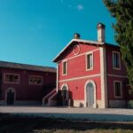 Marche: Tasting and Tour of Local Wines and Tastes at D'Erasmo Winery - Detailed Breakdown of the Tour