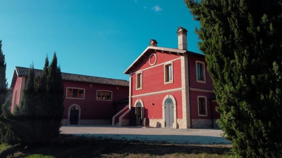 Marche: Tasting and Tour of Local Wines and Tastes at D'Erasmo Winery - Detailed Breakdown of the Tour