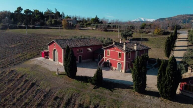 Marche: unique visit and tasting at D'Erasmo Winery among signature wines - Who Will Appreciate This Experience?