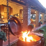 Maremma: oil and wine tasting with dinner - Practical Details and What to Expect