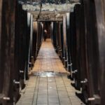 Maribor: Vinag Wine Cellar Tour with Wine tasting and snacks - The Itinerary in Detail