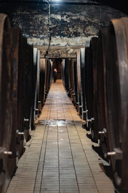 Maribor: Vinag Wine Cellar Tour with Wine tasting and snacks - The Itinerary in Detail