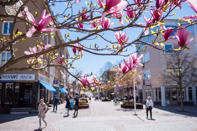 Mariehamn Private Guided Walking Tour - What the Tour Encompasses