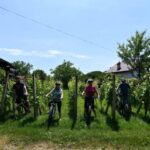 Marija Bistrica: Experience of cycling on country roads - Why this experience works for travelers