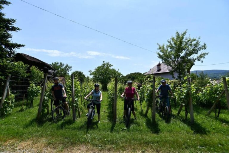 Marija Bistrica: Experience of cycling on country roads - Why this experience works for travelers
