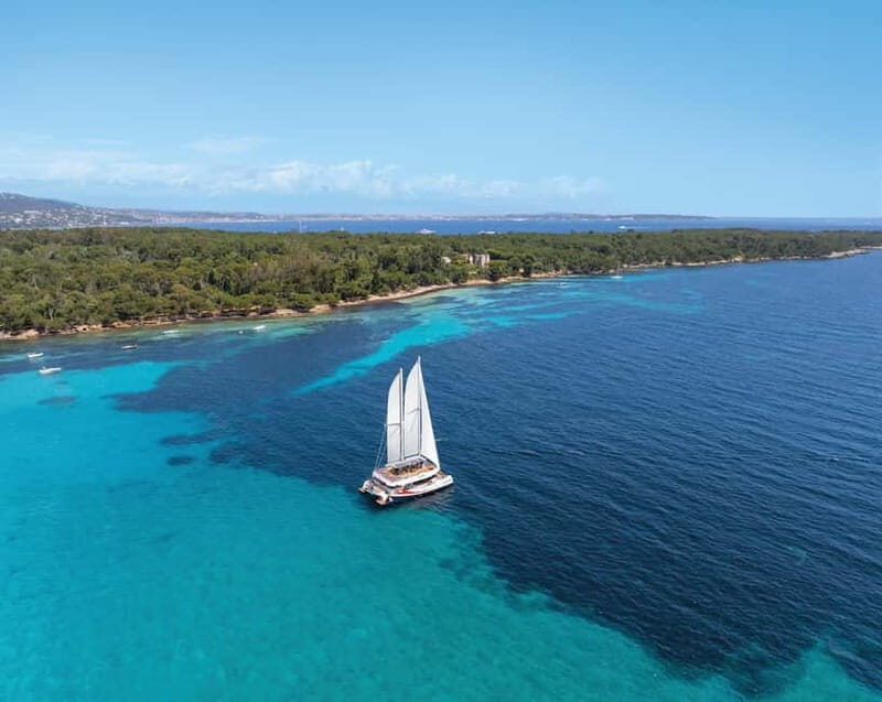 Marina Baie des Anges : Discovery Morning, Catamaran Guided Tour - Practical Details and Tips