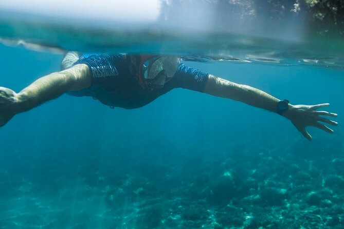 Marine Biology & Snorkelling Experience in the Cinque Terre - Marine Biology & Snorkelling Experience in the Cinque Terre: A Detailed Review