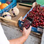 Market visit and cooking class with lunch or dinner at a local's home in Praiano - Itinerary Breakdown