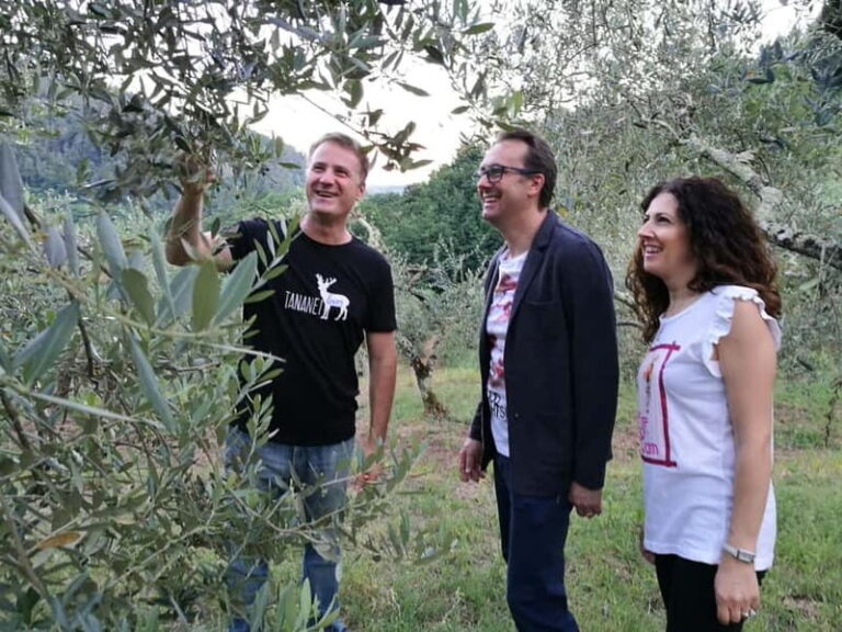 Marliana: Tuscan Olive Oil Tour with Dinner - The Experience in Detail: From Farm to Fork