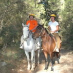 Marmaris: Horse Riding & Safari with Hotel Transfer - What to Expect During the Ride