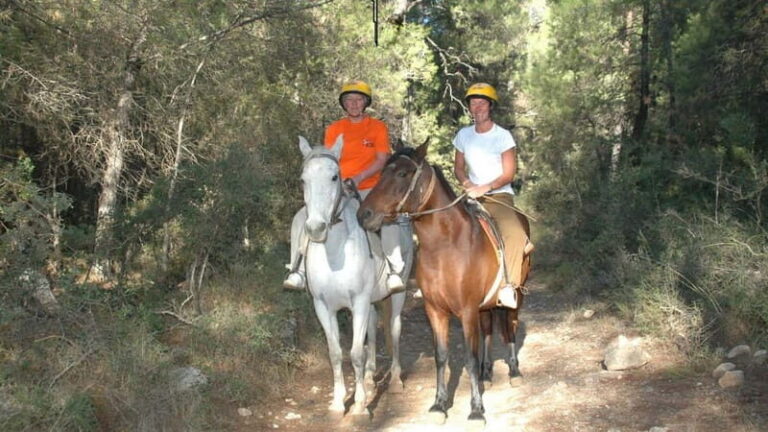 Marmaris: Horse Riding & Safari with Hotel Transfer - What to Expect During the Ride