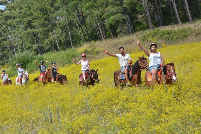 Marmaris Horse Safari - An In-Depth Look at Marmaris Horse Safari