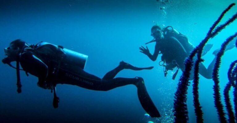 Marmaris: Scuba Diving Experience with 2 Dives and Lunch - Detailed Tour Breakdown