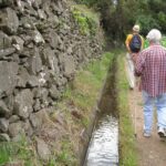 Maroços / Mimosa Valley - Levada Walk - Who Should Consider This Tour?