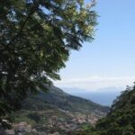 Maroços Mimosa Valley Levada Walk from Funchal - Why This Tour Offers Great Value