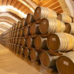 Marsala: Florio Winery Tour with Food-Paired Wine Tastings - The Itinerary: What to Expect