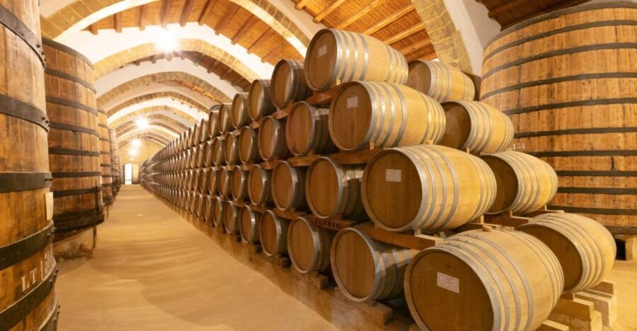 Marsala: Florio Winery Tour with Food-Paired Wine Tastings - The Itinerary: What to Expect